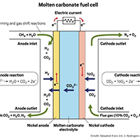 Integrating molten carbonate fuel cell technology into a cement plant ...